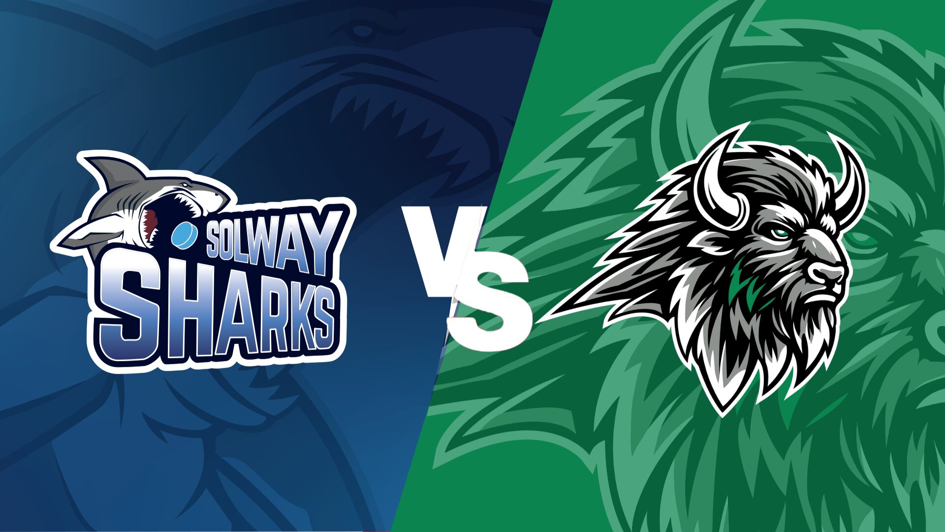 Solway Sharks Ice Hockey Streams